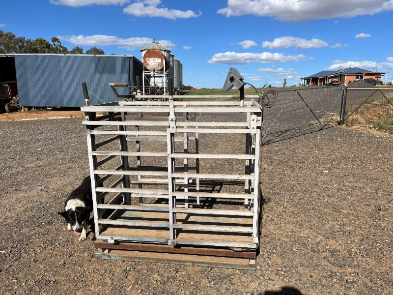 Lot 41 - Sheep Scales | AuctionsPlus