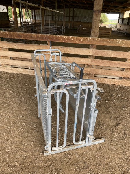 Lot 5 - Sheep Holder/Flipper | AuctionsPlus