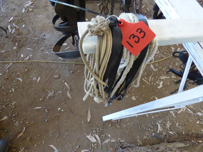 Lot 133 - Driving reigns | AuctionsPlus