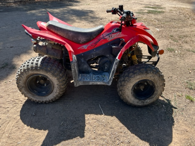 Lot 127 - MONGOOSE 90 S KIDS 4 WHEELER | AuctionsPlus