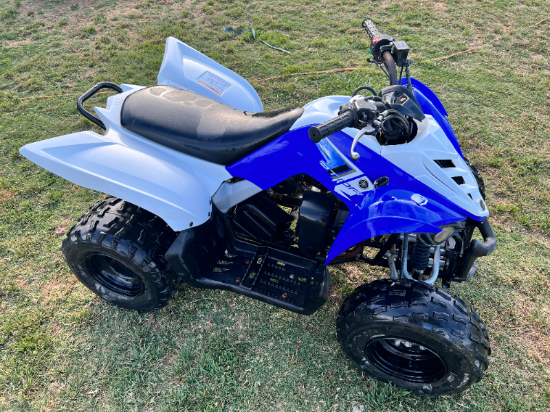 Lot 80 - Raptor 90 Quad Bike | AuctionsPlus