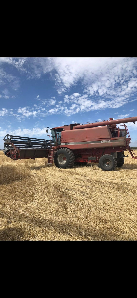 Lot 3 - Case Header 1997 2166 | AuctionsPlus