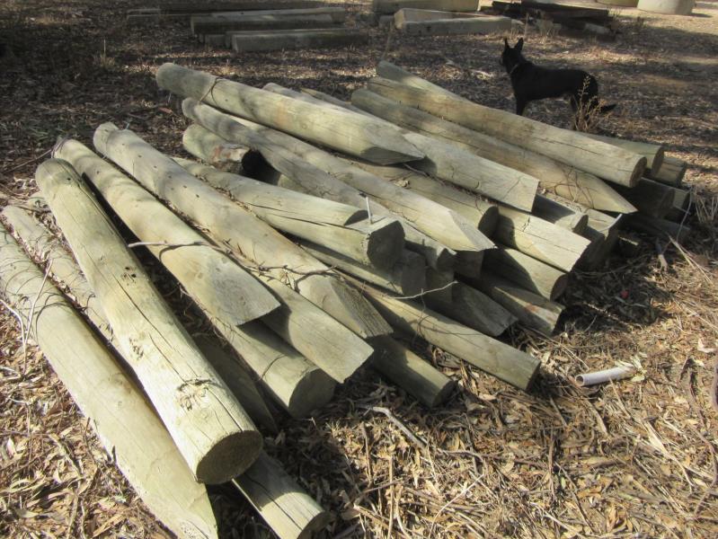 Lot 117 - Quantity Pine Posts & Strainers | AuctionsPlus