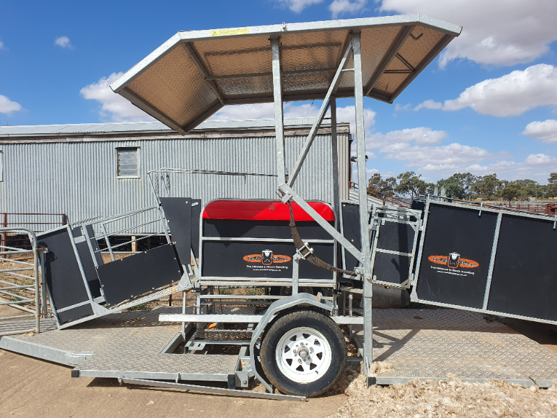 Lot 6 - Combi Clamp sheep handler, 3-way draft & scales, as new ...