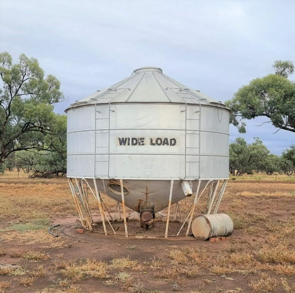 Lot 12 - 28T Nelson field bin. | AuctionsPlus