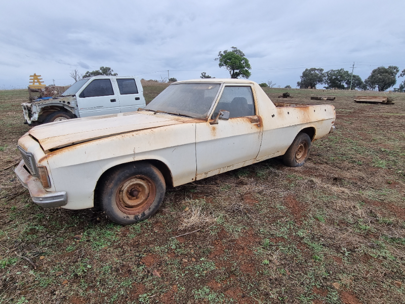 Lot 119 - HZ Holden Ute | AuctionsPlus