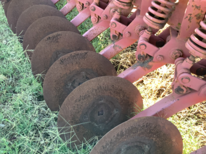 Lot 24 - International Offset Disk | AuctionsPlus