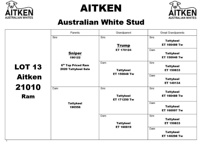 Lot 13 - Aitken 21020 | AuctionsPlus