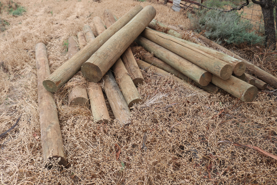 Lot 125 - Pine strainer posts, x 13 | AuctionsPlus