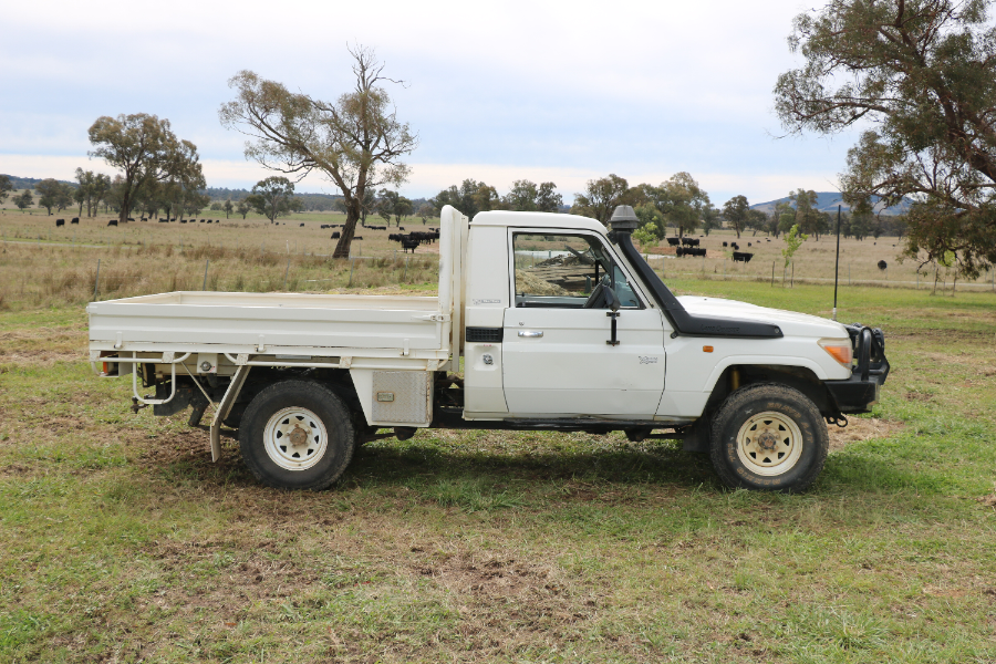 Lot 2 - 2010 Toyota Landcruiser Workmate Utility with steel tray ...