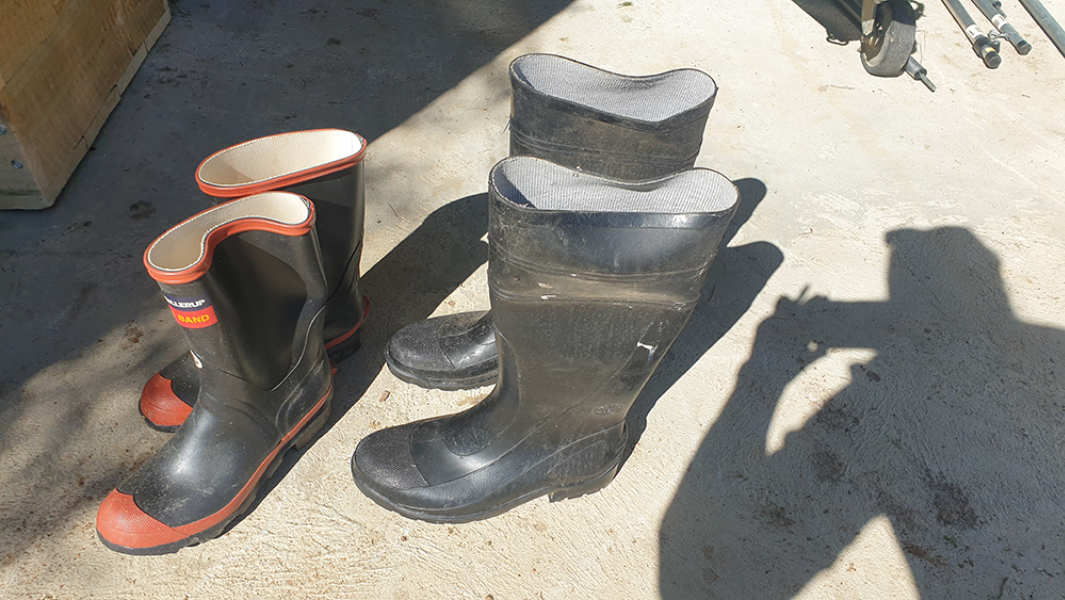 Lot 142 - Red Band Ladies Size 5 Gumboots & Mens Size 8 Gumboots ...