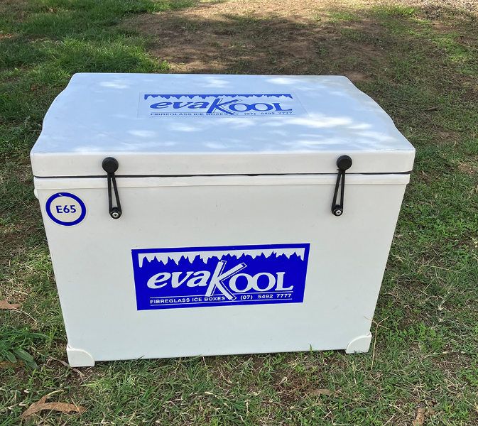 Lot 147 - EvaKool Esky E65 | AuctionsPlus
