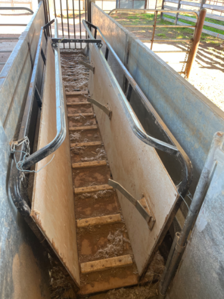 Hecton Handler - Hecton Sheep Handler | AuctionsPlus