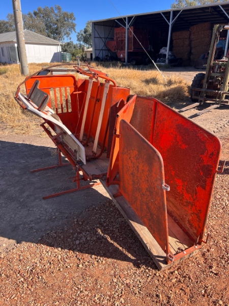 Lot 28 - Steer Hecton Handler | AuctionsPlus