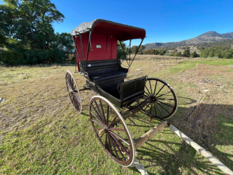 Lot 26 - Piano Box Buggy | AuctionsPlus