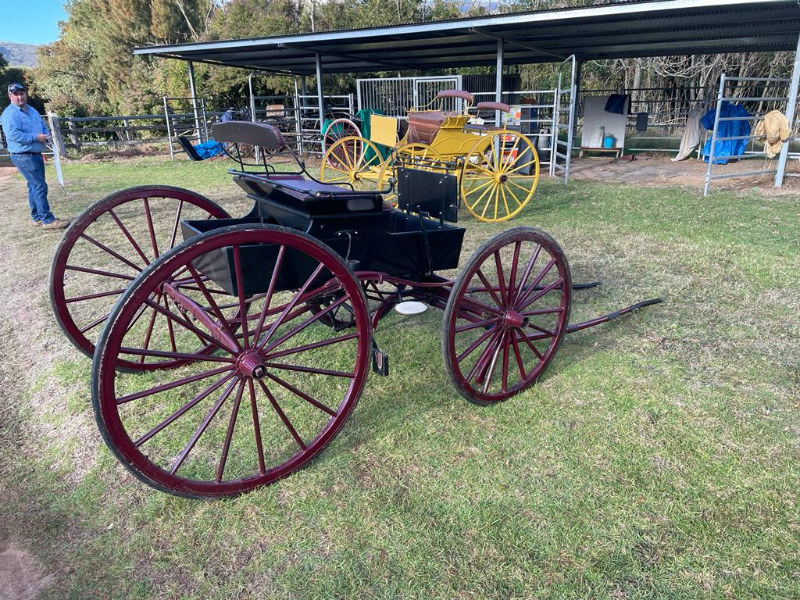 Lot 66 - Piano Box Buggy | AuctionsPlus