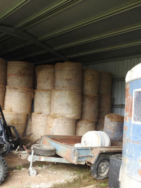 Lot 31 - Pasture Hay | AuctionsPlus