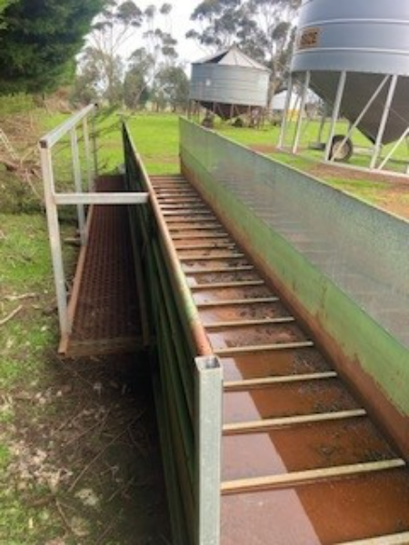 Lot 33 - Thornton 24Ft Sheep Loading Race | AuctionsPlus