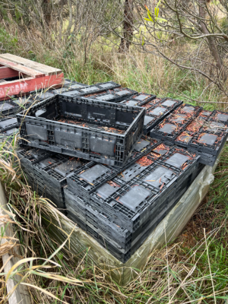Lot 62 - Pallet of Crates | AuctionsPlus