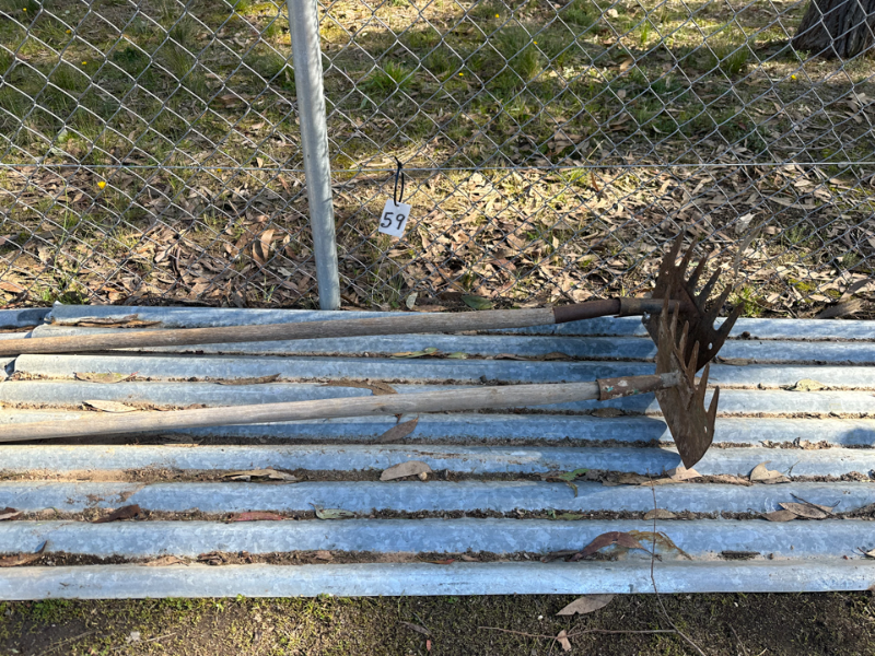 Lot 59 - Rake Hoes x 2 | AuctionsPlus