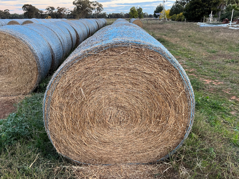 Lot 3 - 50x 5x4’ Lucerne round bales | AuctionsPlus