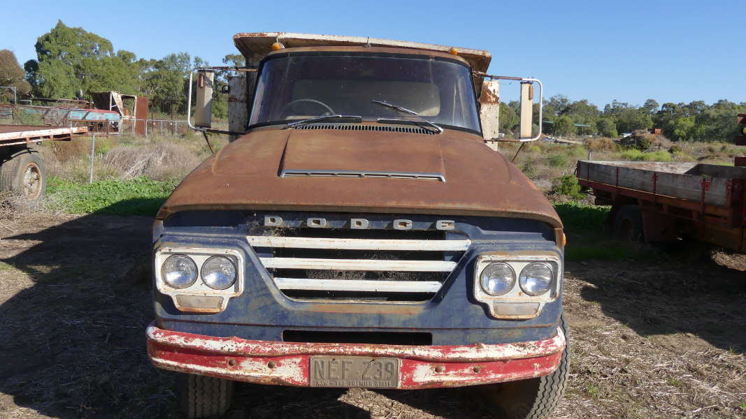 Lot 34 - Dodge 660 Tip Truck (not Going) | AuctionsPlus