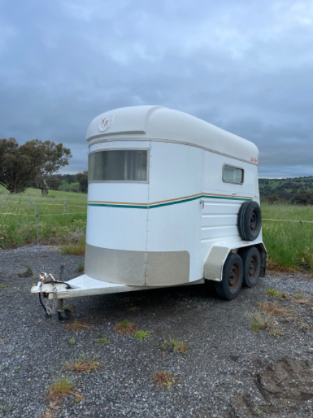 Lot 287 - Kara Kar Long Horn Horse Float | AuctionsPlus
