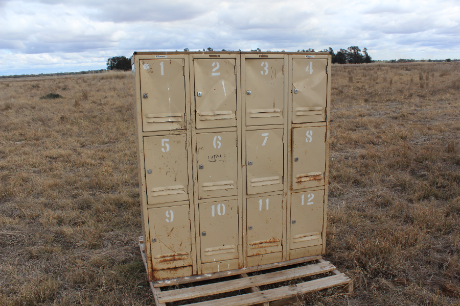 Lot 134 - 12 Box Lockers | AuctionsPlus