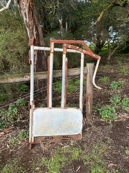 Lot 101 - Cattle Head Bale | AuctionsPlus