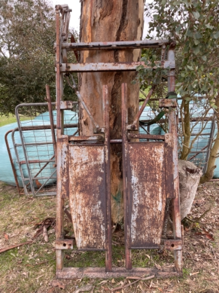 Lot 33 - CATTLE HEAD BALE | AuctionsPlus