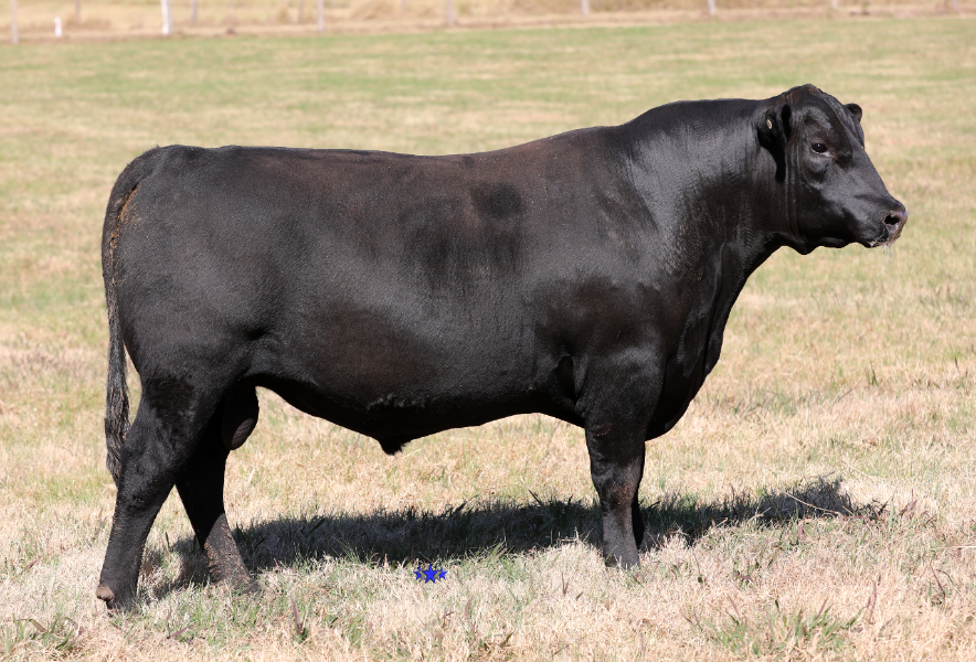 Lot 13 - MEDLYN SANTOS S20 | AuctionsPlus