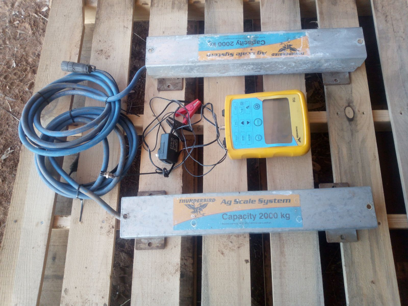 Lot 29 - Thunderbird T30 Scales | AuctionsPlus