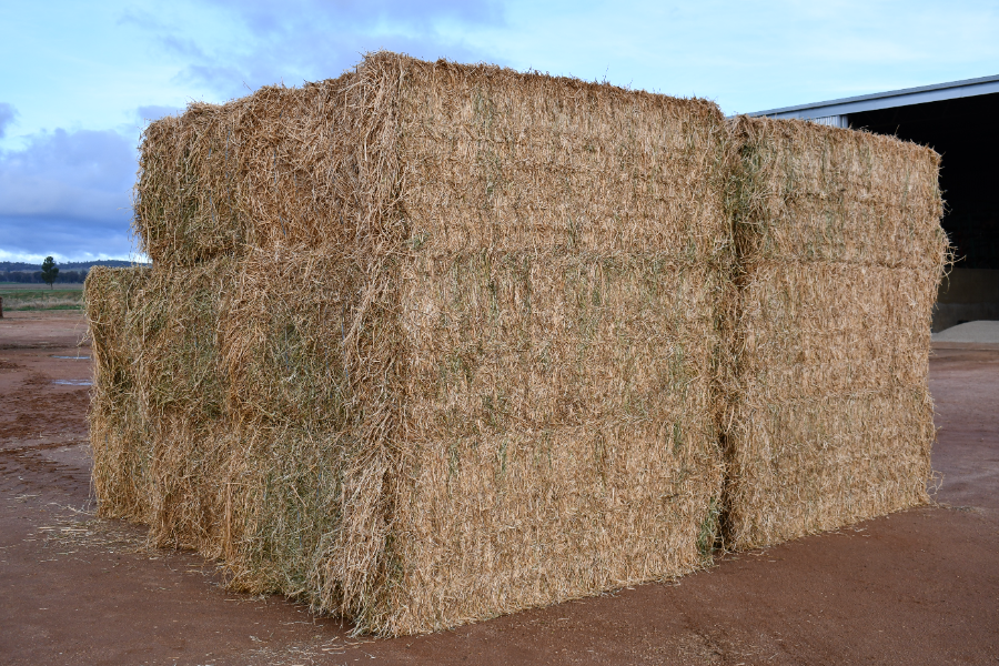 Lot 106 - 30x large square bales lucerne hay | AuctionsPlus