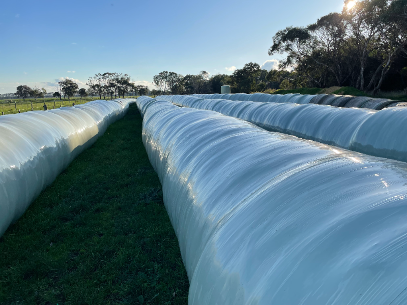 Lot 525 - 2022 Tube wrapped Silage x 16 lots, Feed Test available 30 ...