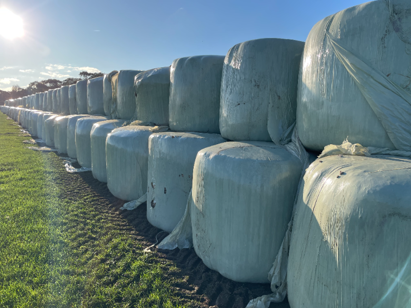 Lot 534 - 2022 Individual Wrapped Silage X 7 lots Feed Test Available ...