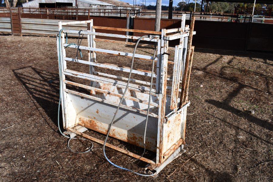 Lot 43 - Sheep / goat crush | AuctionsPlus