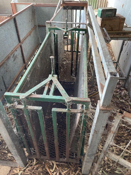 Lot 119 - 'RUDDWEIGH' SHEEP WEIGH CRATE | AuctionsPlus
