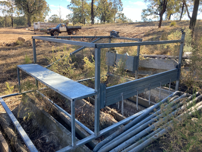 Lot 123 - STEEL ROO CRATE | AuctionsPlus
