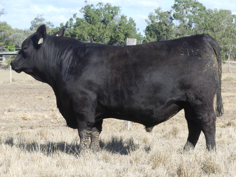 Lot 41 - Aisthorpe LM B074 Sterling S15 PV | AuctionsPlus