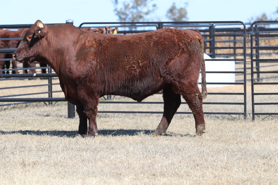 Lot 42 - WEEBOLLABOLLA SUBSTANCE S148 | AuctionsPlus