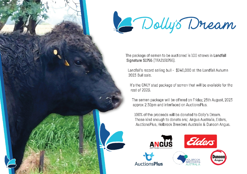 Lot 135 Charity Lot - Dollys Dream - LANDFALL SIGNATURE S1755PV ...