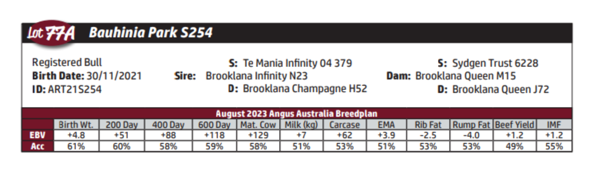 Lot 77A - REPLACEMENT - BAUHINIA PARK S204 | AuctionsPlus