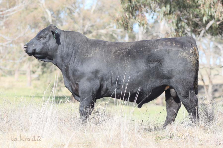 Lot 22 - BEN NEVIS TRINIDAD T415 | AuctionsPlus