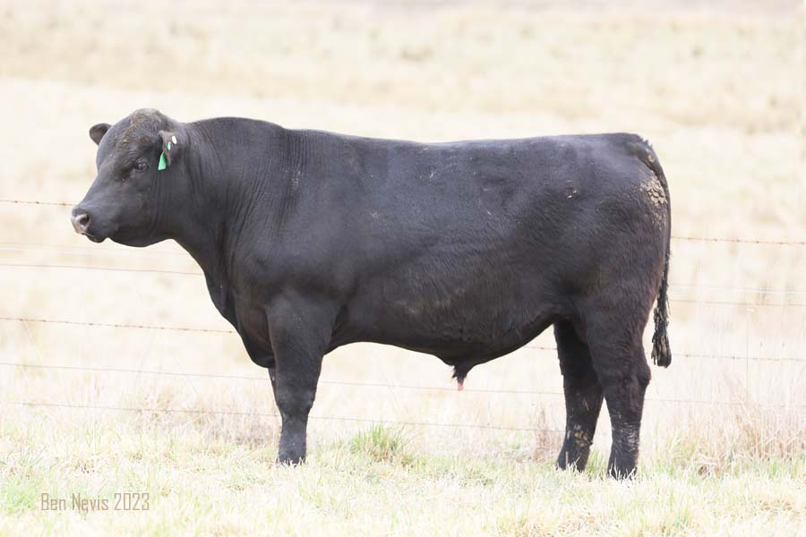 Lot 23 - BEN NEVIS TOBAGO T408 | AuctionsPlus