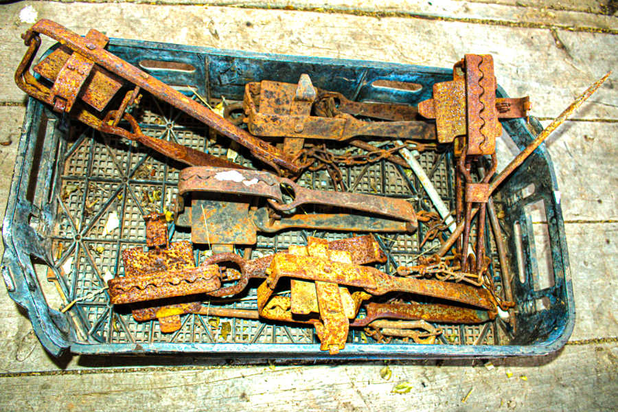 Lot 101 - Variety of Rabbit Traps | AuctionsPlus