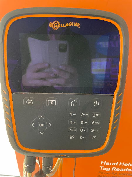 Lot 241 - Gallagher TW 1 weighscale indicator G02601 | AuctionsPlus