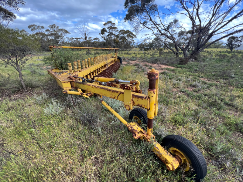 Lot 38 - Connor Shea | AuctionsPlus