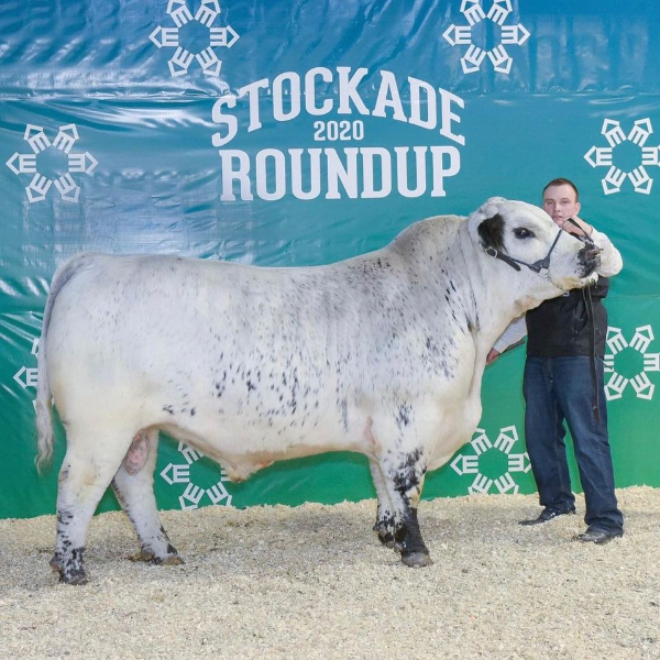 Lot 49 - Wolf Lake Field Ready 52F x Waratah J106 | AuctionsPlus