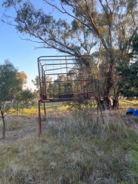 Lot 108 - 16 Ft Stock Crate | AuctionsPlus