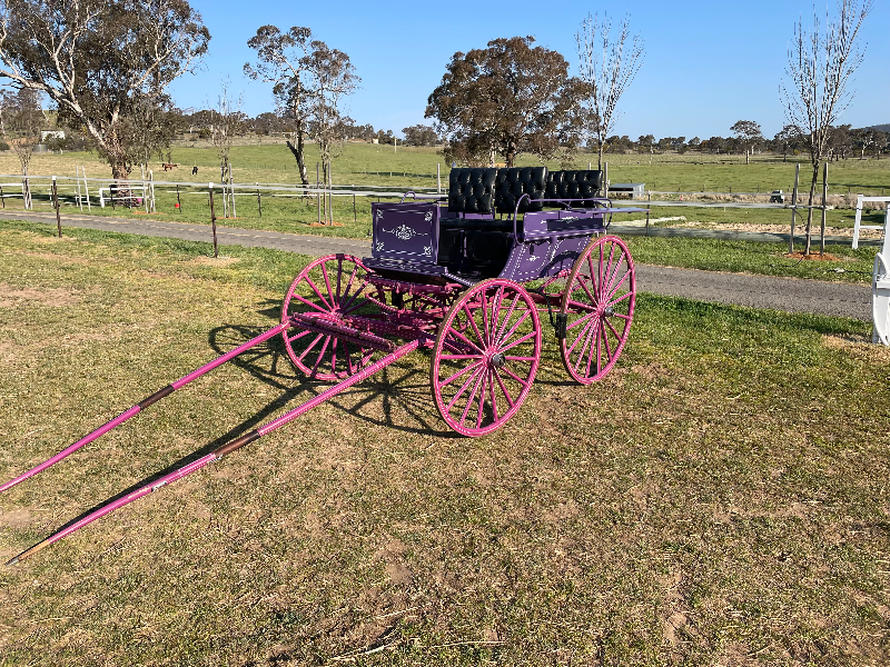 Lot 87 - DOUBLE SEAT TRAP WITH OPENING SEATS. | AuctionsPlus